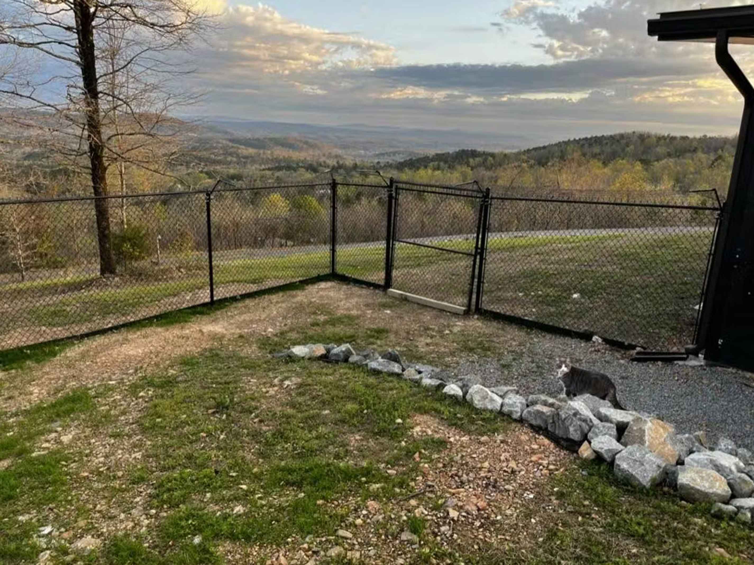 5 Reasons Why Every Cat Owner Needs a Cat Enclosure - Purrfect Fence