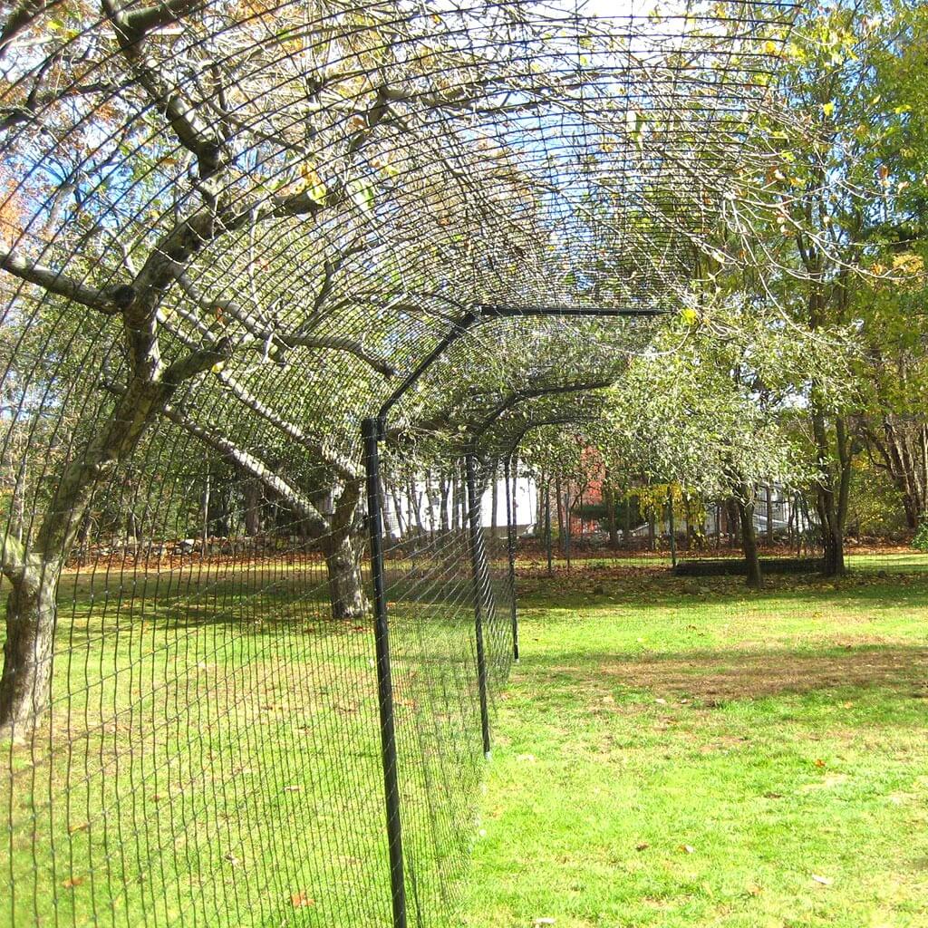 Outdoor Cat Enclosure Kits and Fencing | Purrfect Fence