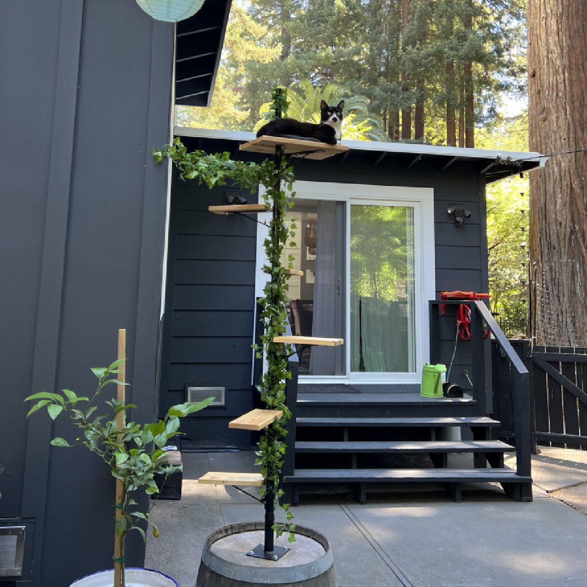 Outdoor Cat Perch - Cat Tree - Purrfect Fence